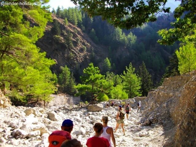 Samaria Gorge Tour - Book Crete Taxi - Every Visitor Is Impressed